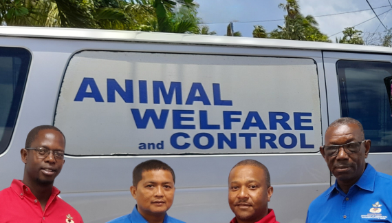 Department of Agriculture – Official Website for The Cayman Islands ...