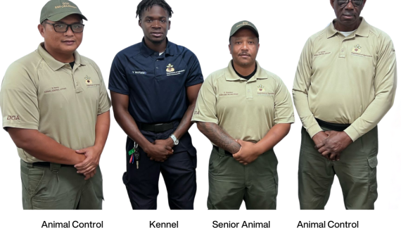 Department of Agriculture – Official Website for The Cayman Islands ...