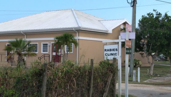 Department of Agriculture – Official Website for The Cayman Islands ...