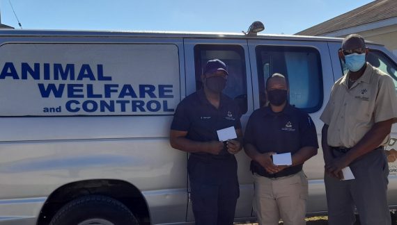 Department of Agriculture – Official Website for The Cayman Islansd ...