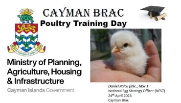 Department of Agriculture – Official Website for The Cayman Islansd ...