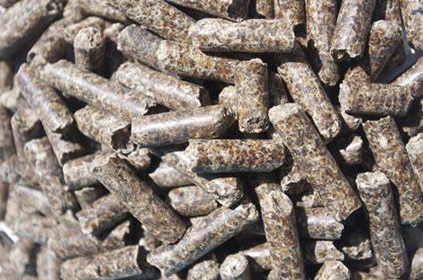 Beet Pulp – Department of Agriculture